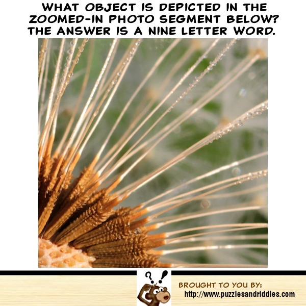 Monthly Puzzle Contest - Puzzles And Riddles